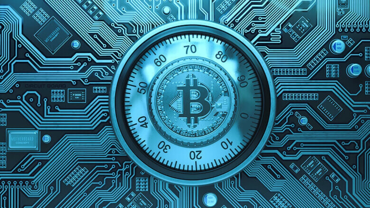 Everything You Need to Know About Crypto Vault - Todayq News